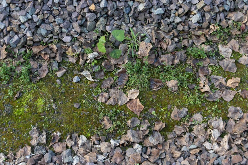A Close Up View of the Stone between the Railway Lines Stock Photo ...