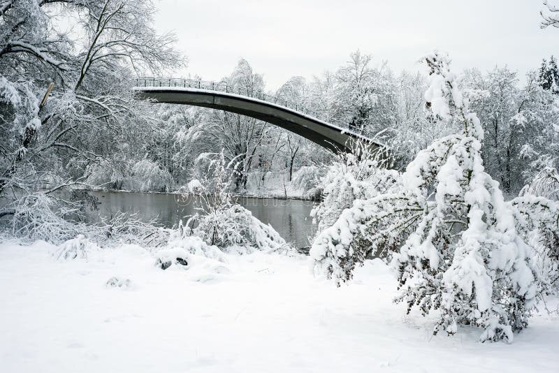 Stoned Pedestrian Bridge on the River and Trees Covered by the Snow ...