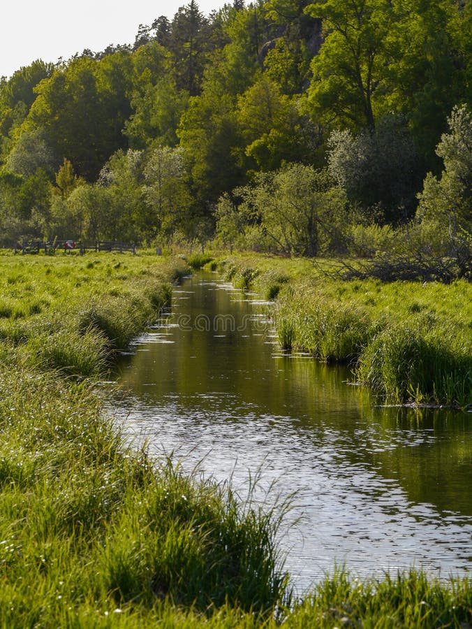 View of a Stream on Field during Summer Stock Photo - Image of outdoor ...