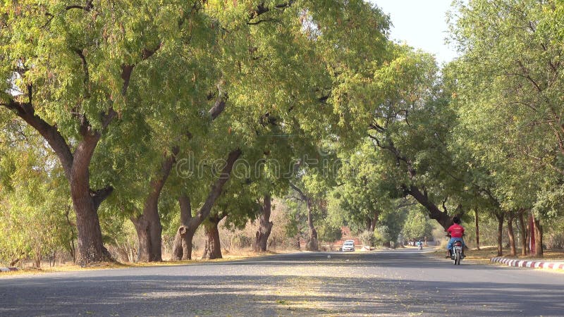 Street in Bagan, Myanmar stock footage. Video of bagan - 70485282