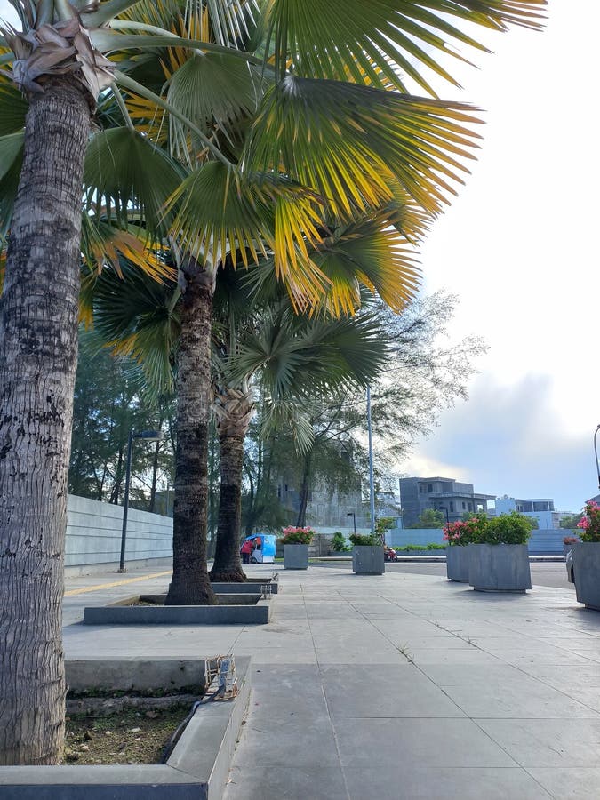 View of a Street in the Citraland Gama City Complex, Medan Stock Image ...