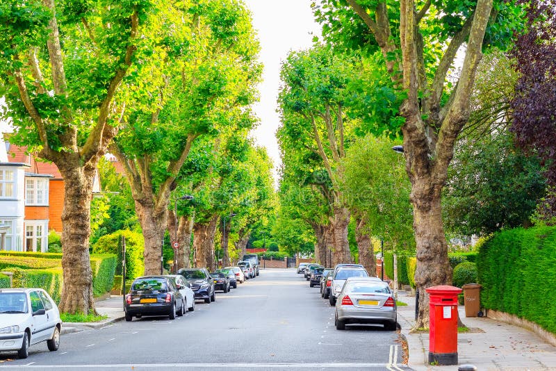 View of Street Lined with Trees in London Stock Photo - Image of beech ...
