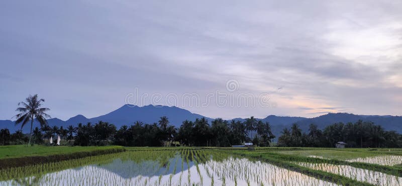 View in Sumatra Barat Indonesia Beautiful Stock Image - Image of ...