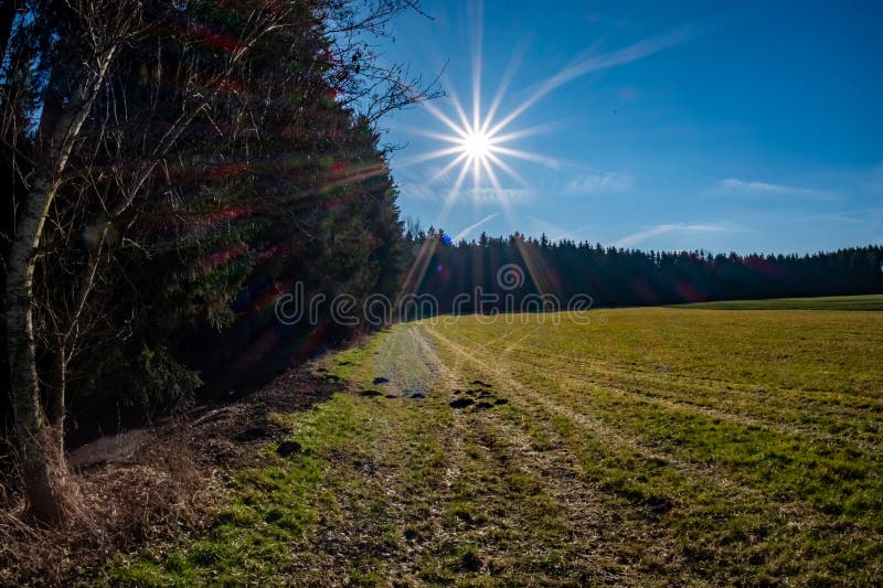 View of the sun field stock photo. Image of leaf, hill - 366870342