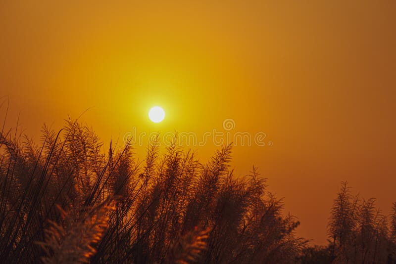 Sunrise over the field stock image. Image of landscape - 197561885