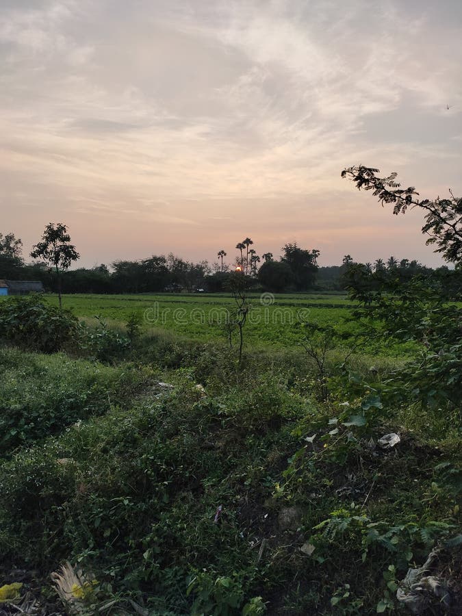 A View of Sun Set through an Agriculture Land Stock Image - Image of ...