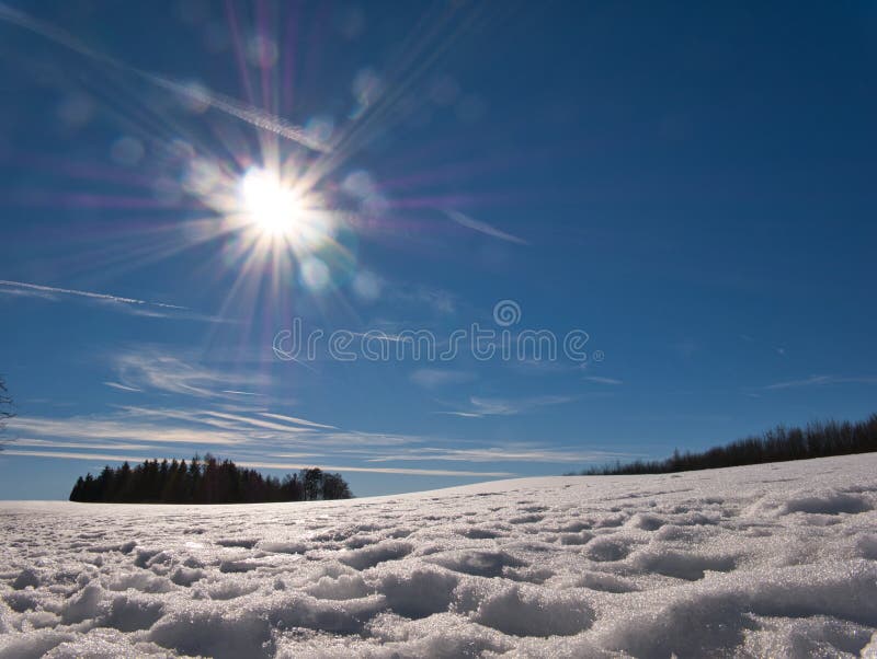 View into the Sun with Snow and Trees Stock Image - Image of snowy ...
