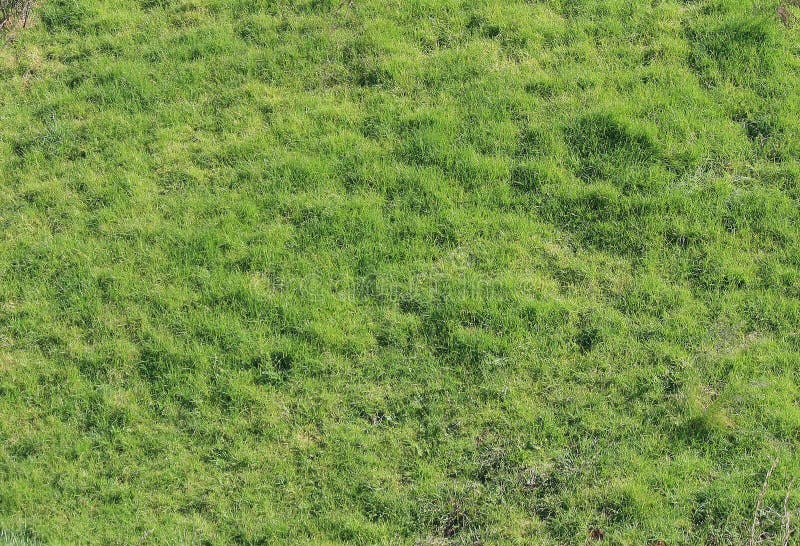 138,263 Uneven Stock Photos - Free & Royalty-Free Stock Photos from ...