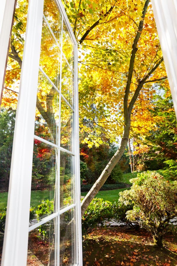 View of a Sunny Fall Afternoon Stock Image - Image of vertical, trees ...