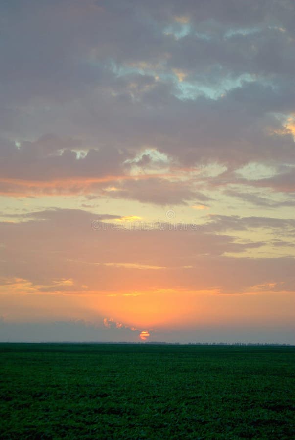 View of the Sunset in a Clean Green Field. Stock Image - Image of field ...