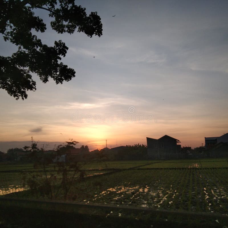 View of the Sunset from the Front of the Batik Gallery Stock Photo ...