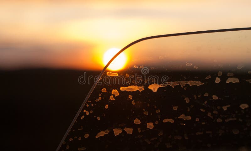 Car Open Half Window Stock Photos - Free & Royalty-Free Stock Photos ...