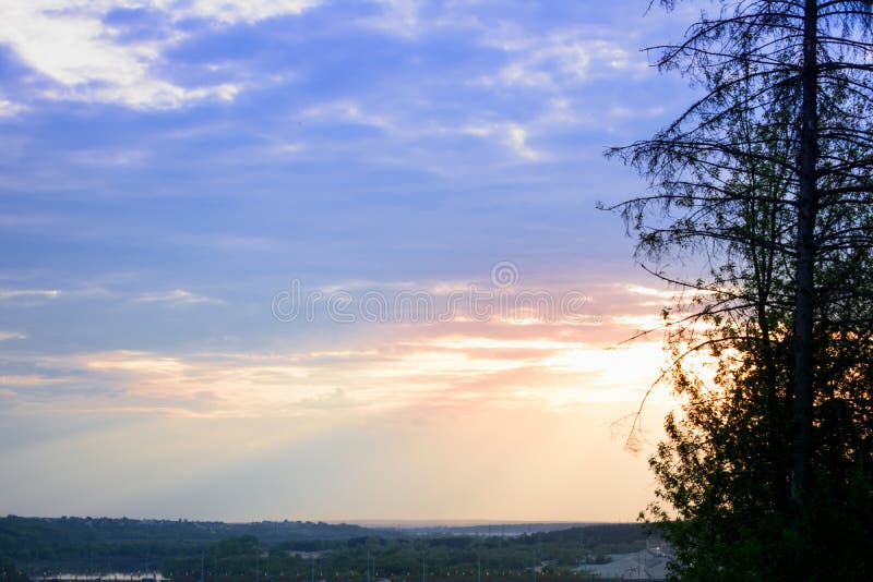 View of Sunset and Tree on Right Side Stock Photo - Image of tree ...