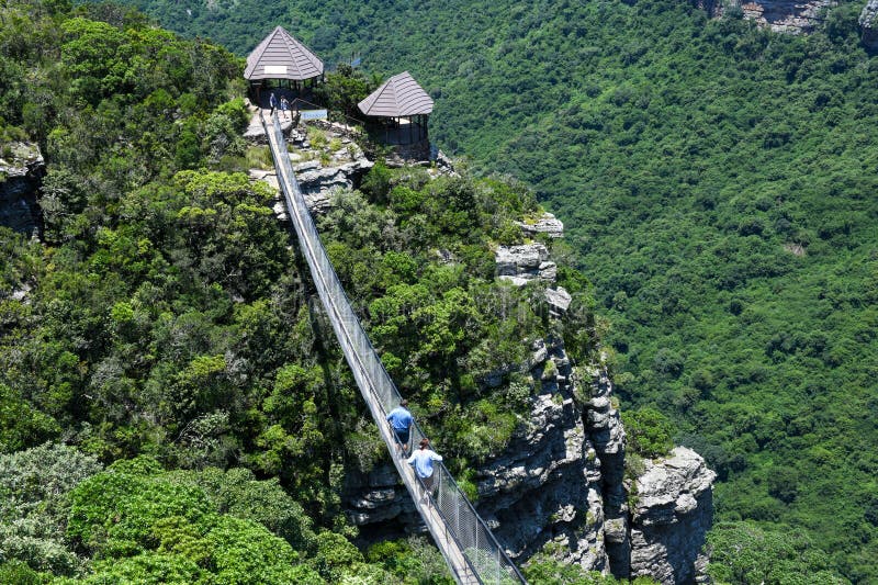 View at the Suspension Bridge on Oribi Gorge, South Africa Stock Image ...