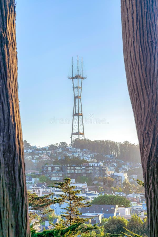View of Sutro Tower in between the Tree Trunks on the Sides at San ...