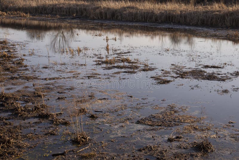 View of Swamp. Polluted River Stock Photo - Image of design, material ...