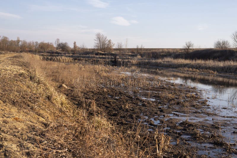View of Swamp. Polluted River Stock Photo - Image of design, material ...
