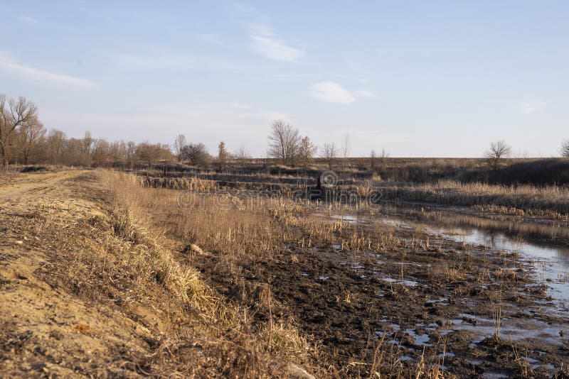 View of Swamp. Polluted River Stock Photo - Image of design, material ...