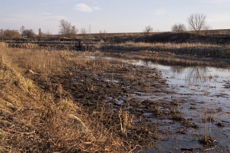 View of Swamp. Polluted River Stock Photo - Image of design, material ...