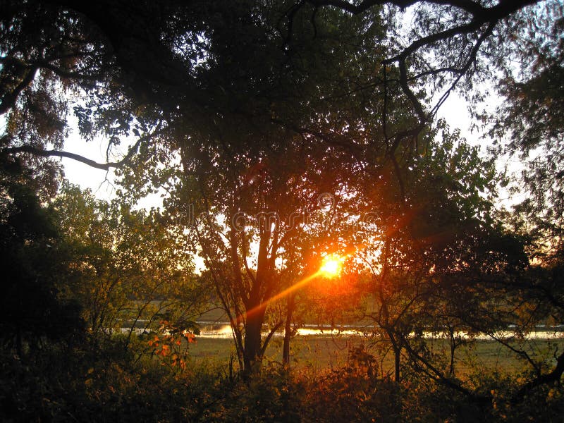 BRIGHT SETTING SUN PEERING through TREES NEXT TO RIVER Stock Image ...