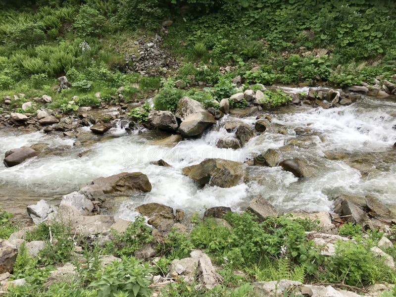 A View of Tamdere Stream in Spring Stock Image - Image of view, pond ...