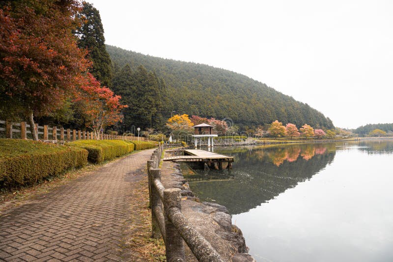 View of Tanuki Lake with Maple Trees Stock Photo - Image of tree ...