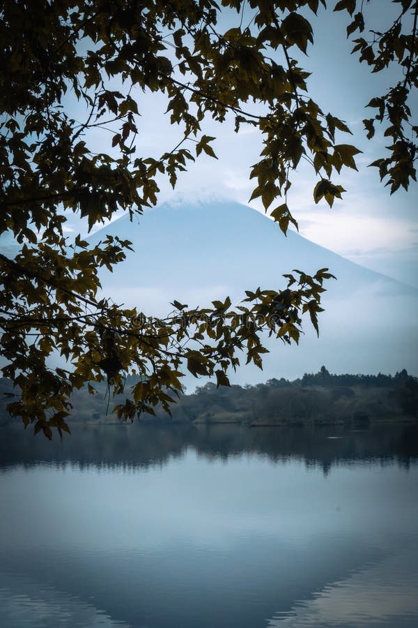 View of Tanuki Lake with Maple Trees Stock Photo - Image of park ...