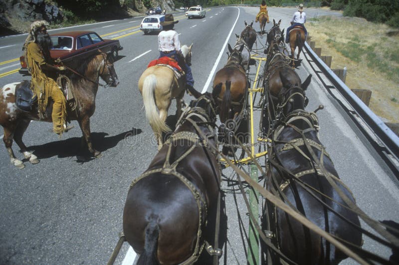 View of Team of Horses in Wagon Train Editorial Stock Image - Image of ...