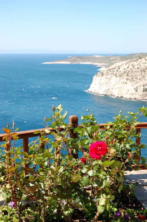 View from Terrace with Rose Plants Stock Image - Image of greek, lagoon ...