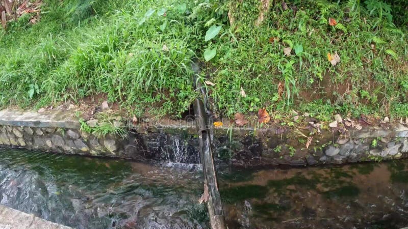 Terraced Rice Paddy Fields at Jatiluwih in Bali, Indonesia. Stock ...