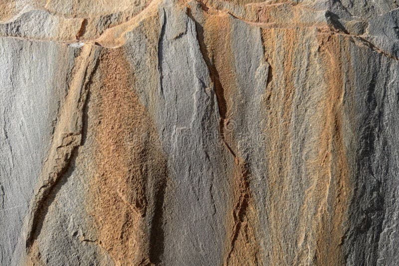 View of the Texture of the Forest Minerals. the Background is Stone or ...