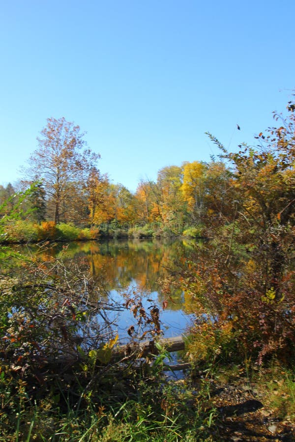 View of Thistlethwaite Falls Park, Richmond, Indiana Stock Image ...