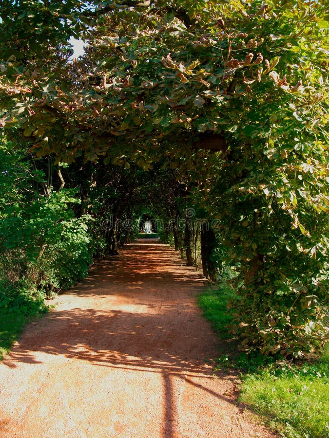 View Thru Plant and Bushes Tunnel with Orange Path Stock Photo - Image ...