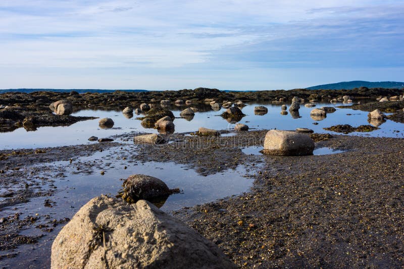 View of a Tidal Pool at Low Tide in Maine Stock Image - Image of ...