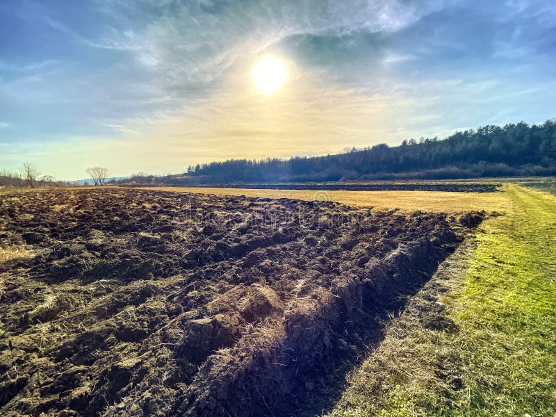 Tilled Field in Winter stock image. Image of lines, pines - 11883839