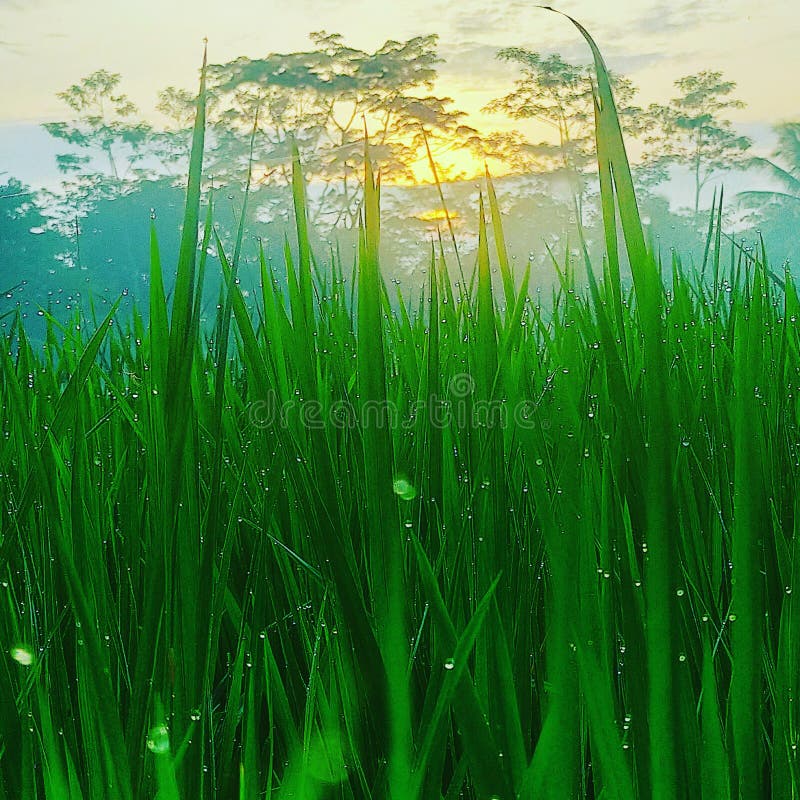 The View of Time in the Morning, Makes Us Increase Energy To Go through ...