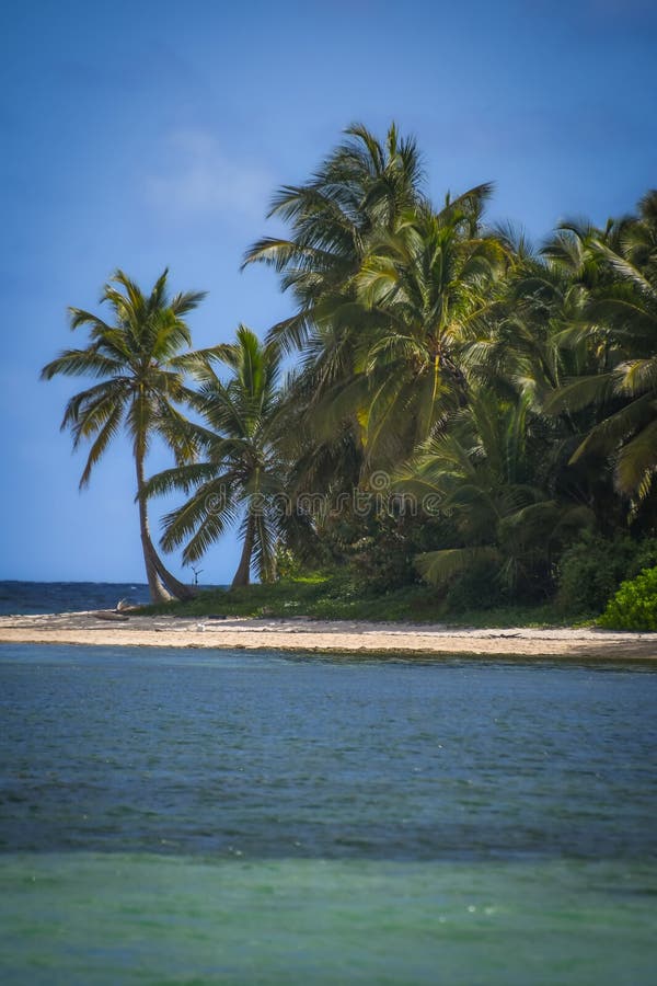 View of the Tip of Bavaro Beach Stock Photo - Image of water, cana ...