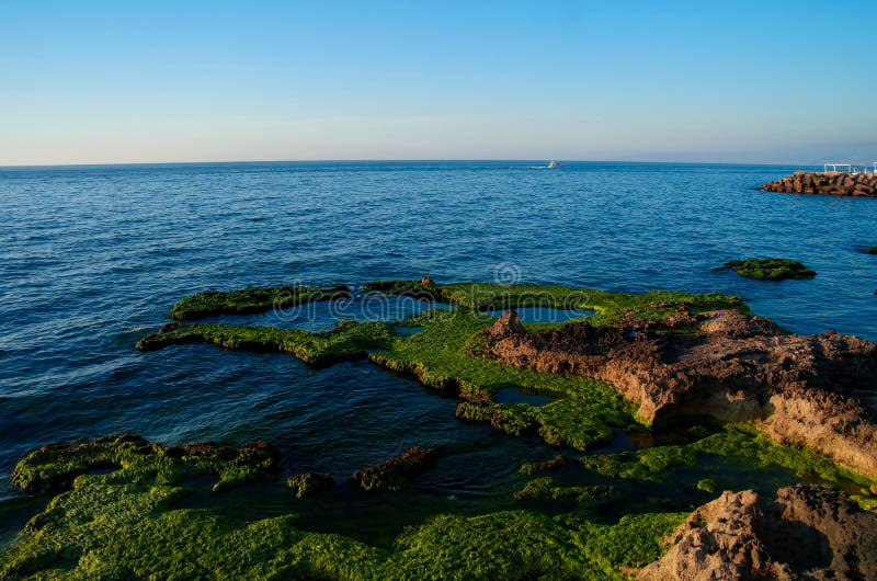 Beirut Manara Dusk stock photo. Image of palm, tourist - 14358356