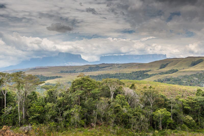 View To Mount Roraima - Venezuela, South America Stock Photo - Image of ...