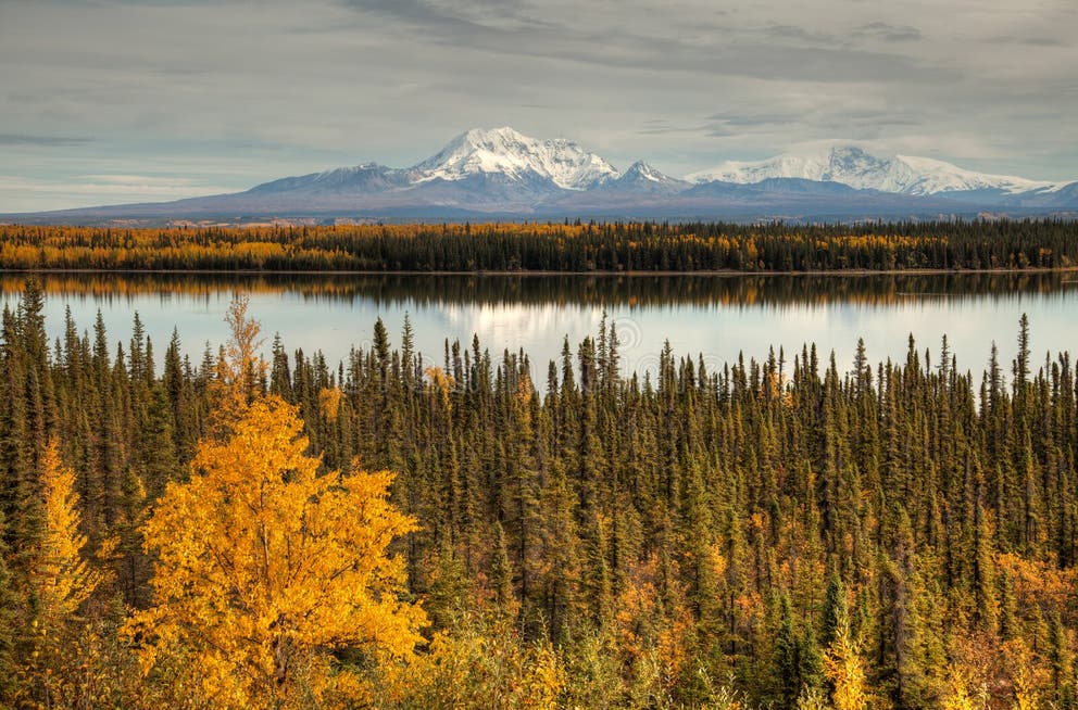 View To Mount Wrangell and Zanetti Stock Photo - Image of wrangell ...