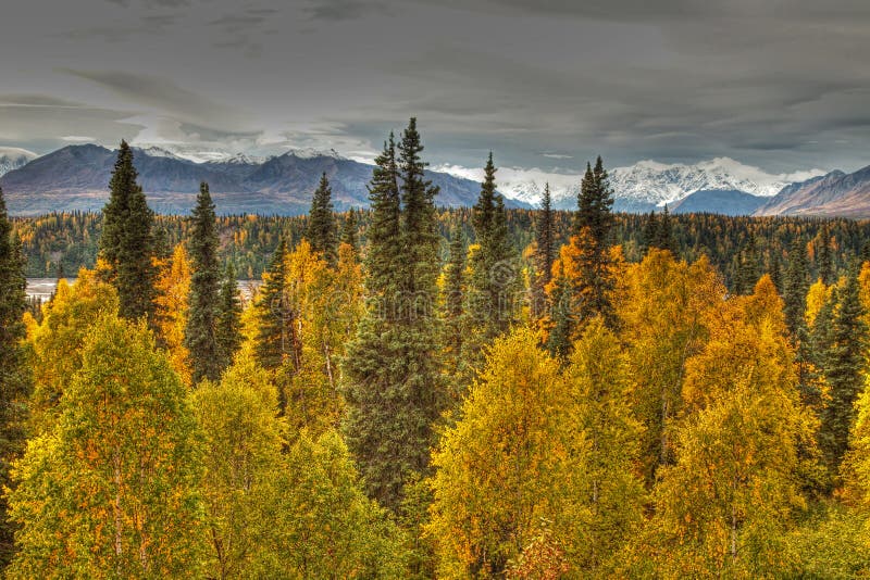 View To Mount Wrangell and Zanetti Stock Photo - Image of shield, snow ...