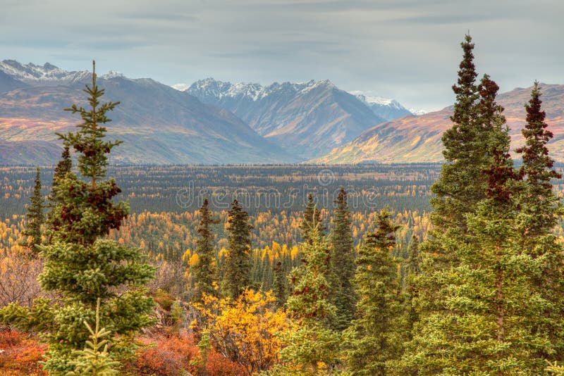 View To Mount Wrangell and Zanetti Stock Photo - Image of america ...