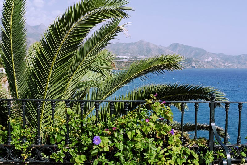 View from terrace stock photo. Image of view, italy, trees - 52864600