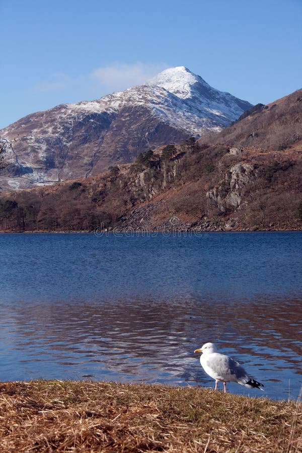View to Snowdon stock image. Image of wales, snowdon - 13101415