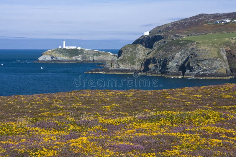 South Stack Lighthouse stock photo. Image of island, wales - 5265996
