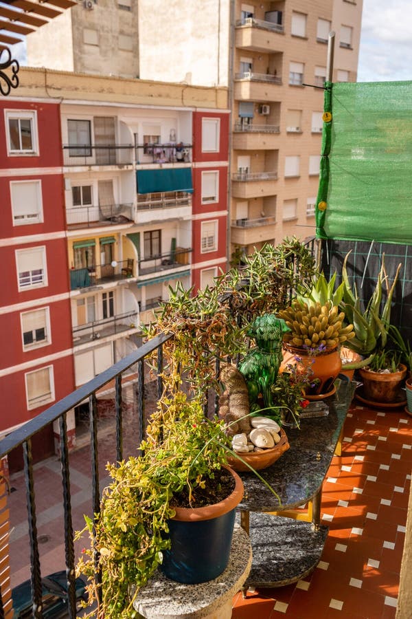 A View To Street from a Balcony Full of Flowers. Stock Photo - Image of ...