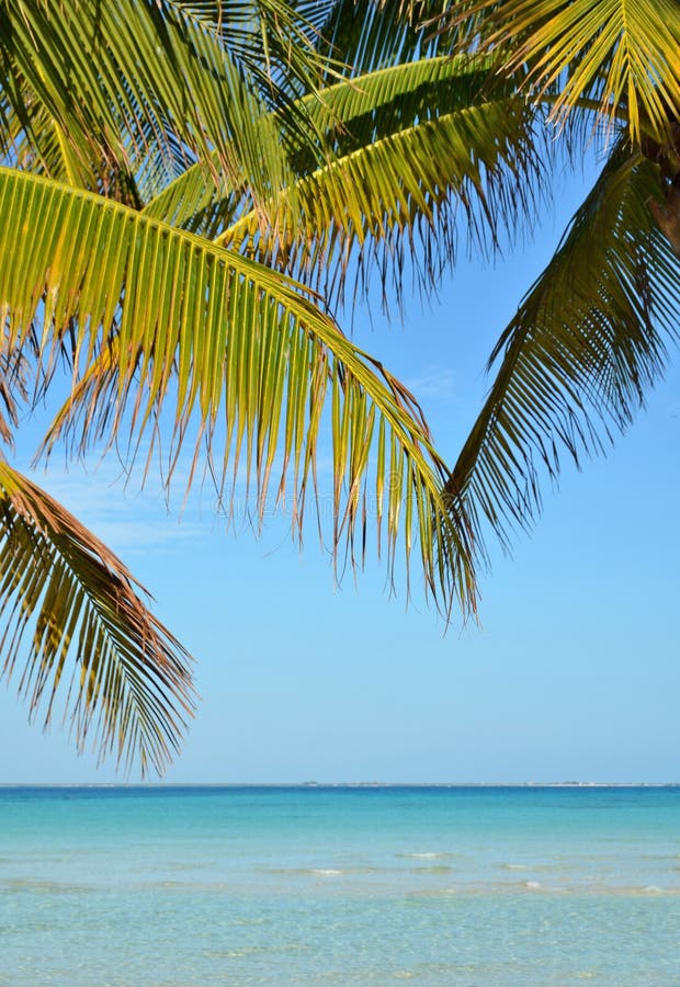 View to a tropical beach stock photo. Image of calm, lagoon - 39696064