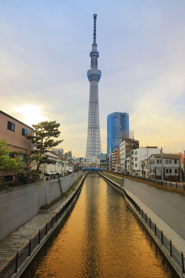 View of Tokyo Sky Tree 634m at Day Time Editorial Photo - Image of ...
