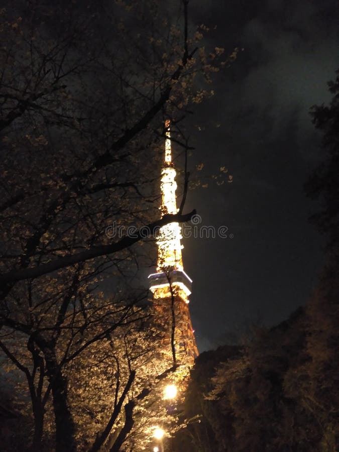 View of Tokyo Tower at Night with the Shadow of Cherry Trees Editorial ...