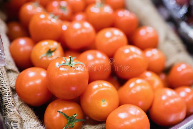 View of tomatoes in shelf stock photo. Image of supermarket - 77661604